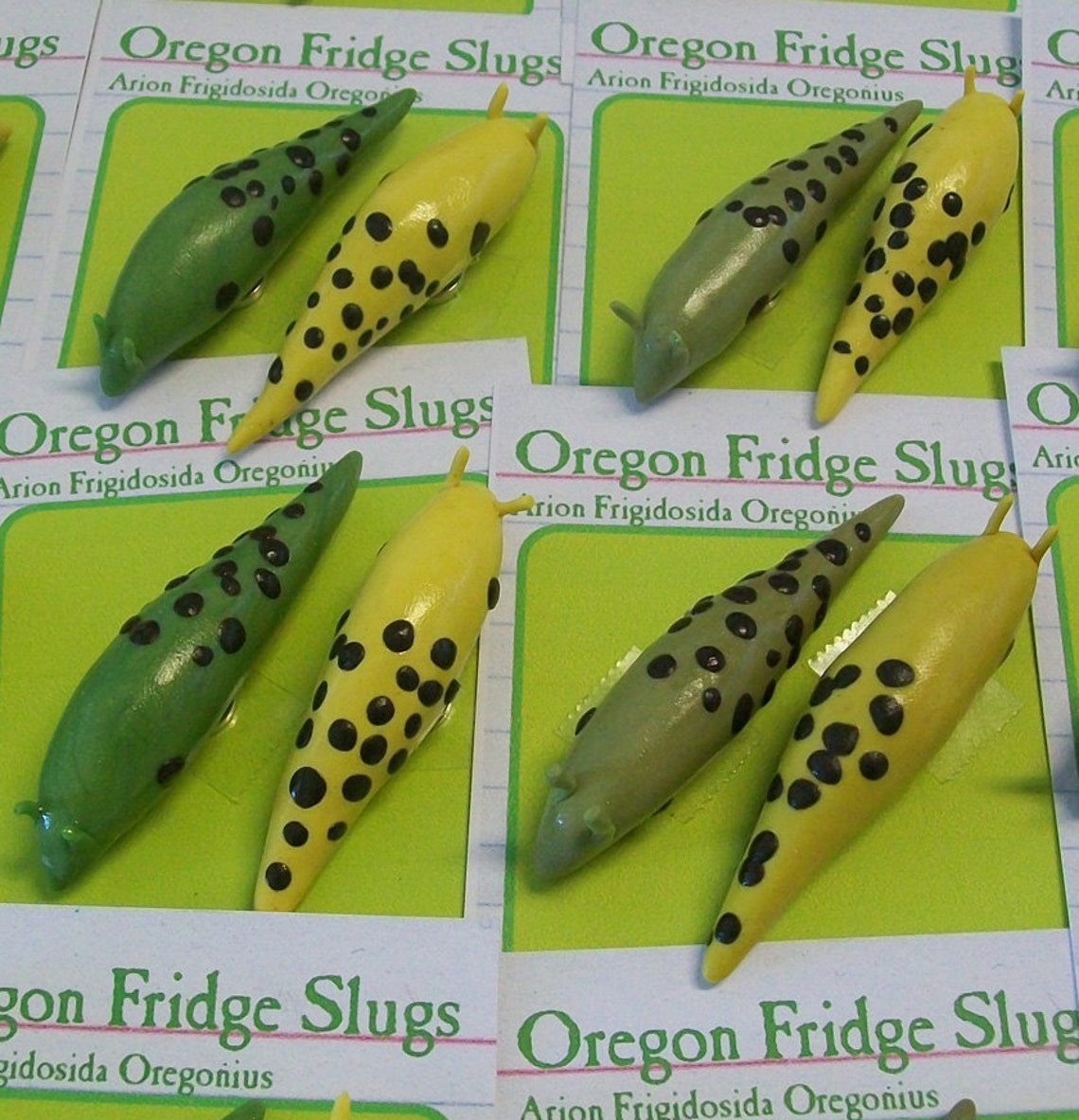 Oregon Fridge Slug Magnets - Etsy