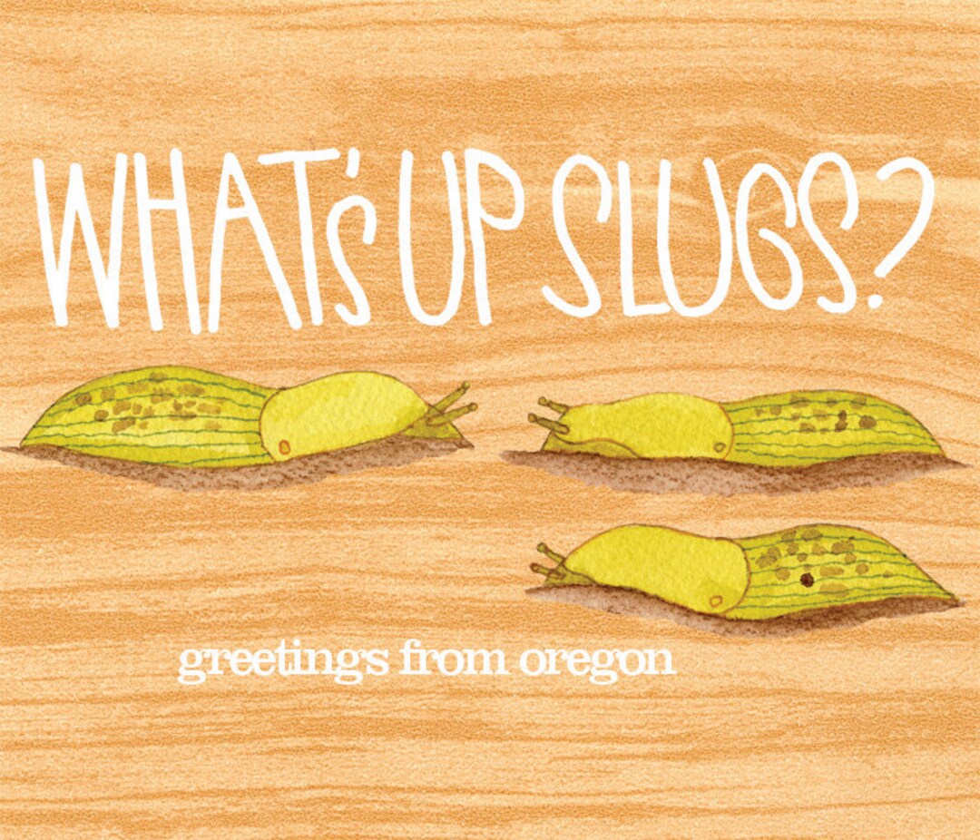 What's up Slugs Postcard - Etsy