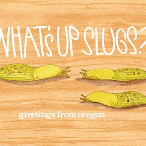 What's up Slugs Postcard - Etsy