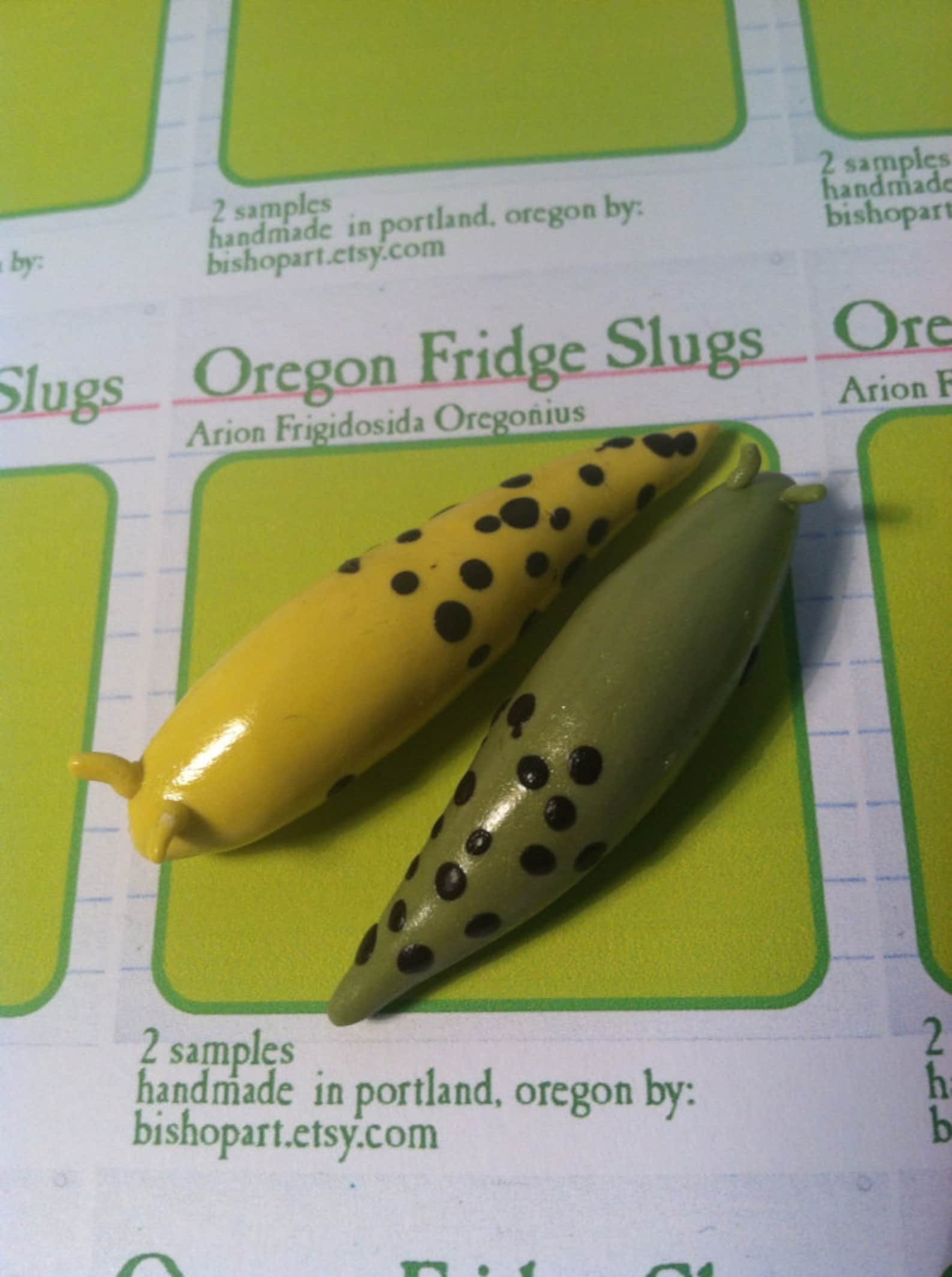 Oregon Fridge Slug Magnets - Etsy