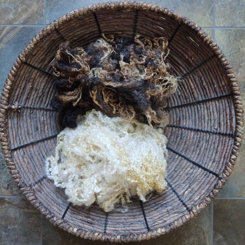 Curly Wool Yarn - Etsy