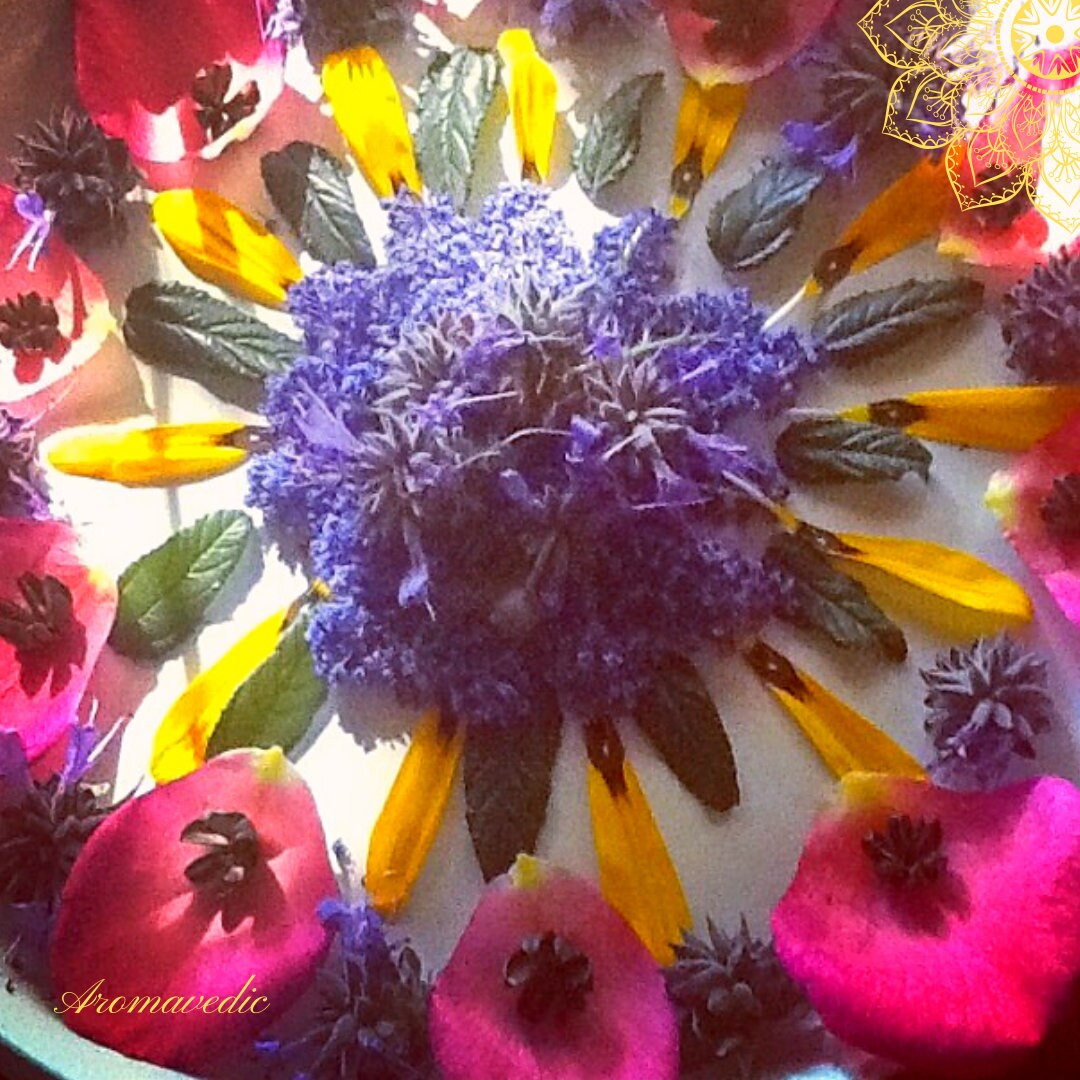 Sacred Geometry Lotus Shell Art Print on Archival Quality Watercolor ...