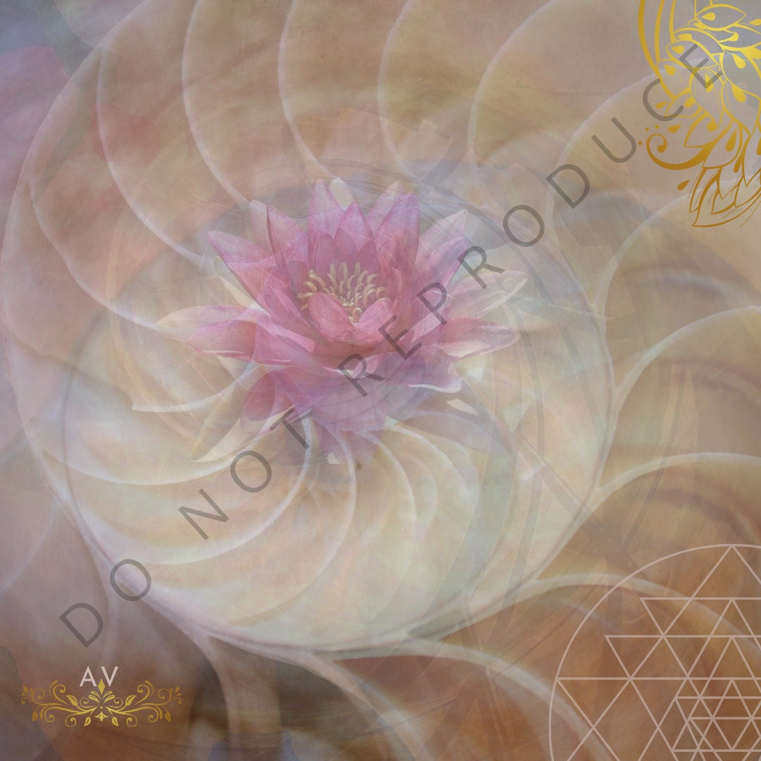 Sacred Geometry Lotus Shell Art Print on Archival Quality Watercolor ...