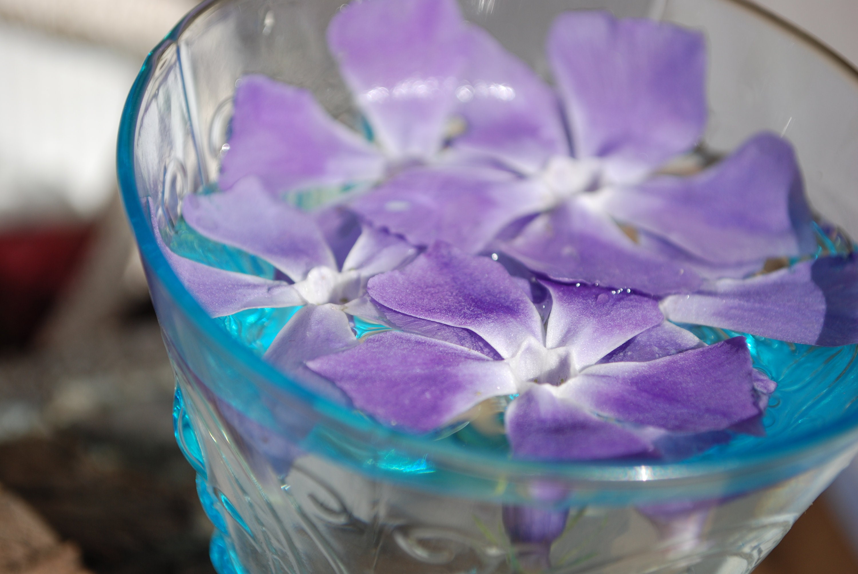 Sacred Geometry Lotus Shell Art Print on Archival Quality Watercolor ...