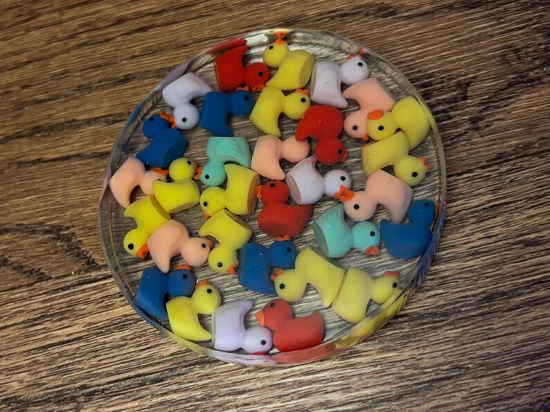 Ducky Coasters/duck Display Stand - Etsy