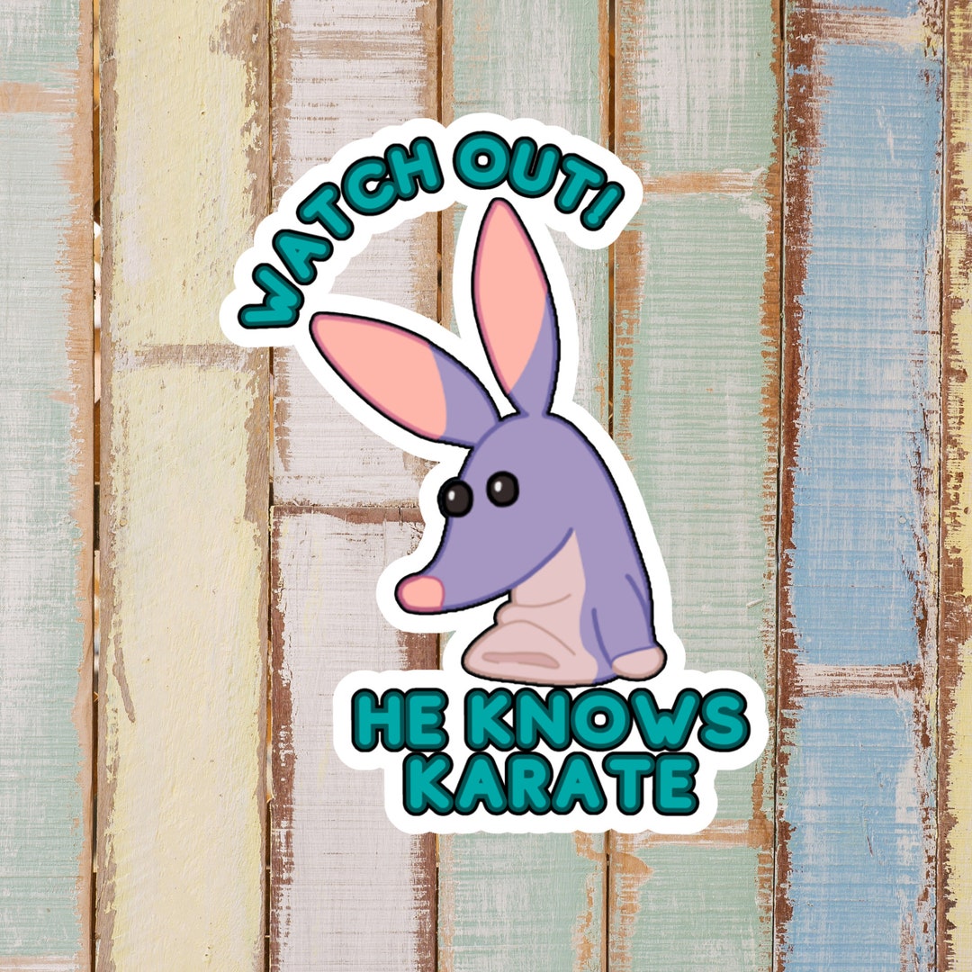 He Knows Karate Bob Bilby Bluey Vinyl Sticker or Magnet Free Shipping ...