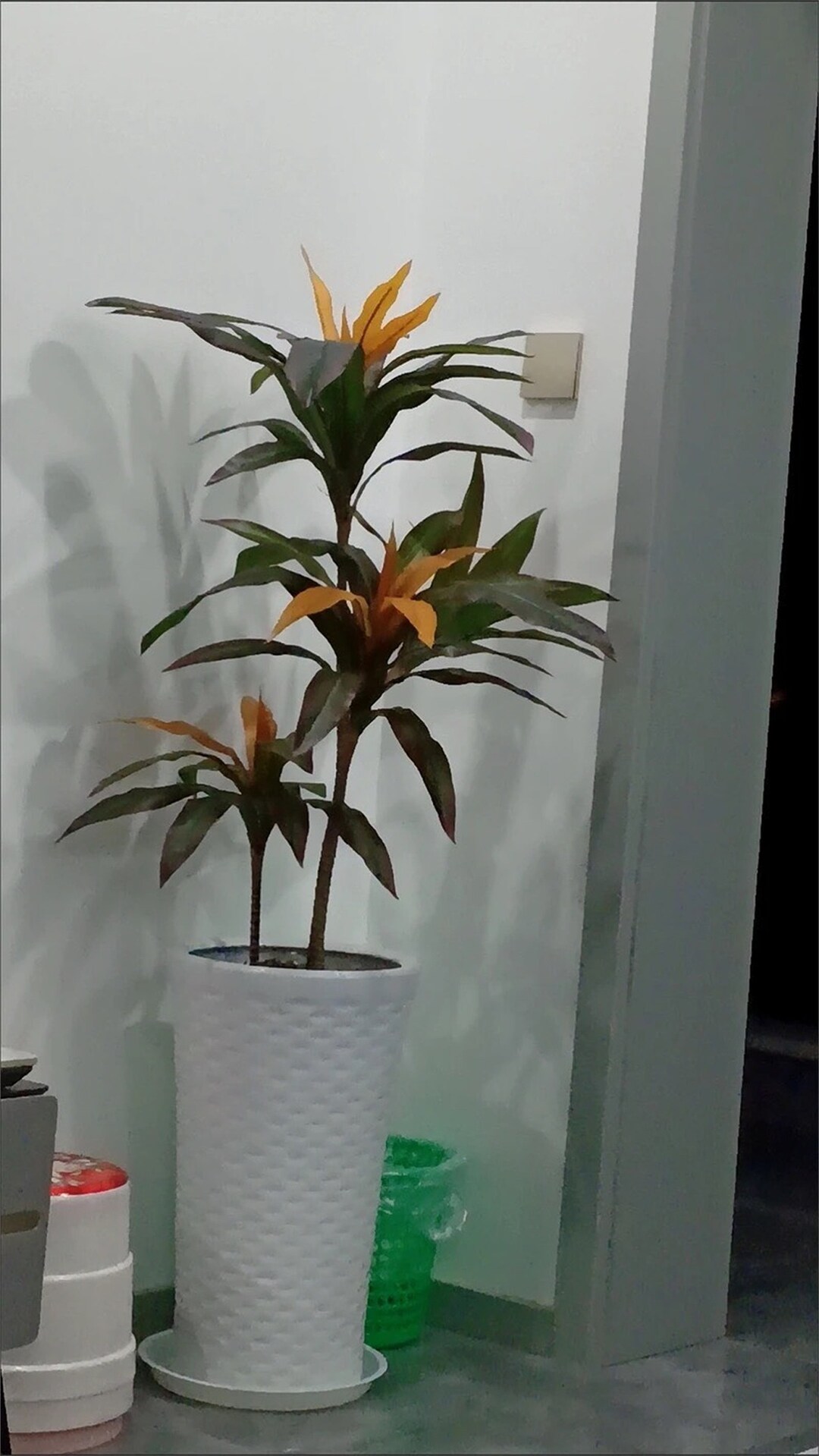 Artificial Ironwood Bonsai Lifelike Indoor Tree Faux Iron Tree Plant ...