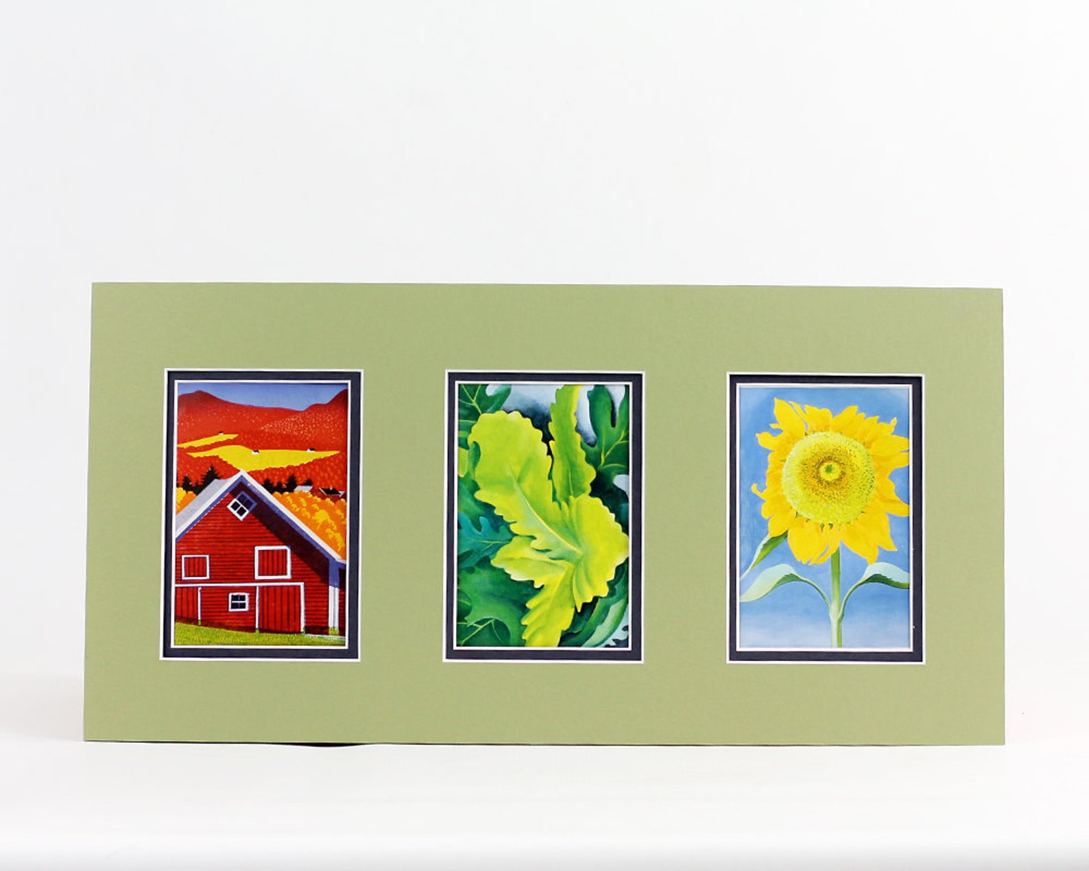 4x6 Photo Collage Mat for 10x20 Frame: Custom Color, Multi Opening ...