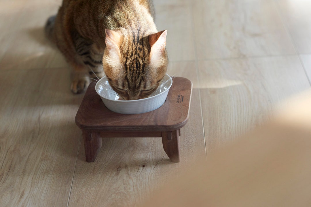 Handmade Cat Dining Table - Etsy