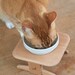 Handmade Cat Dining Table - Etsy