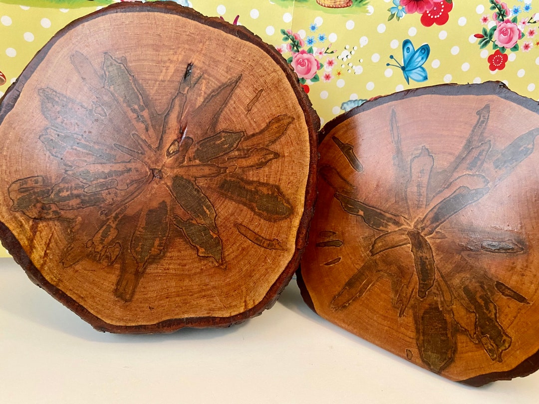 Vintage Genuine Solid Wood Tree Trunk Slab With Live Edges Trivet Set ...