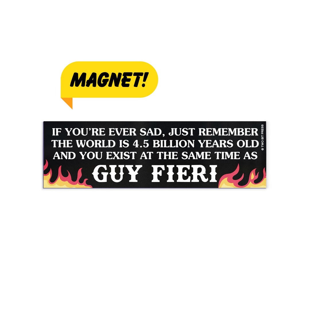 Guy Fieri Magnet: Funny Meme Bumper Sticker - Retro Y2K Vibes - Etsy