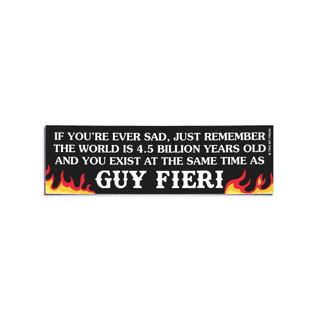 Sad Guy Fieri Bumper Sticker: Funny Meme, Y2K Retro Car Decal - Etsy