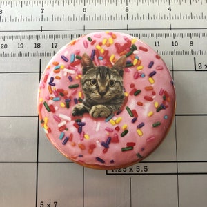 Sprinkles the Cat - Etsy