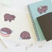 Moo Deng Stickers Moodeng Baby Hippo Sticket Sheets Viral Pygmy Hippo ...
