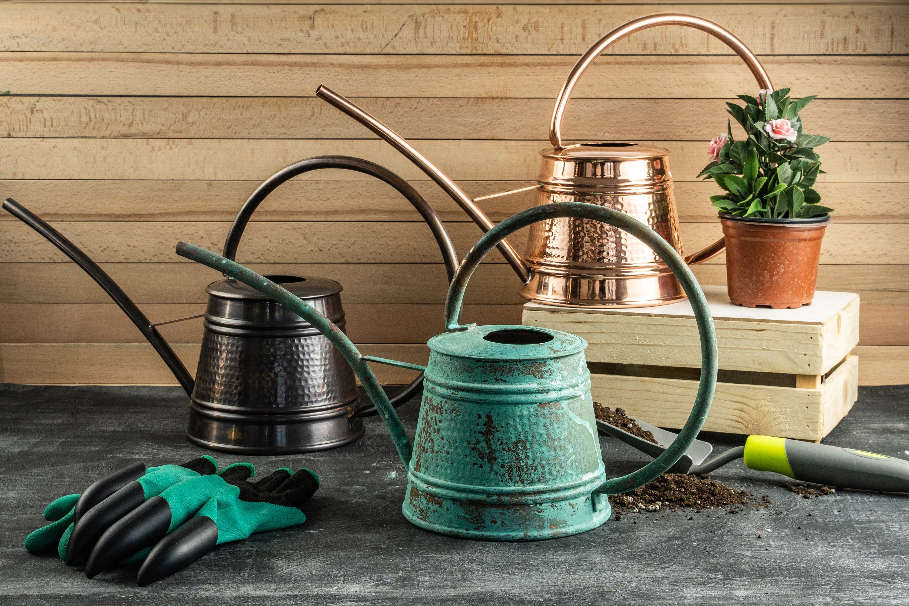 Solid Copper Watering Can Green Patina Long Spout Handmade Copper ...