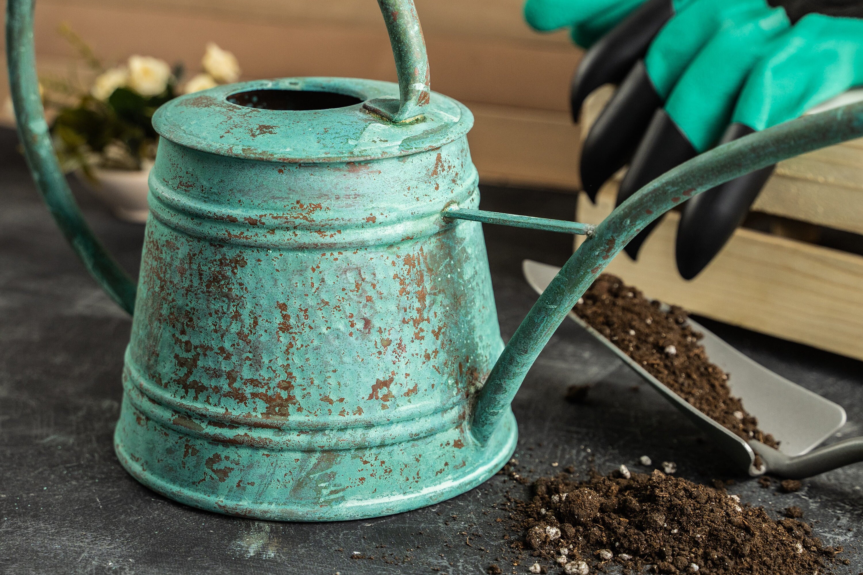 Solid Copper Watering Can Green Patina Long Spout Handmade Copper ...