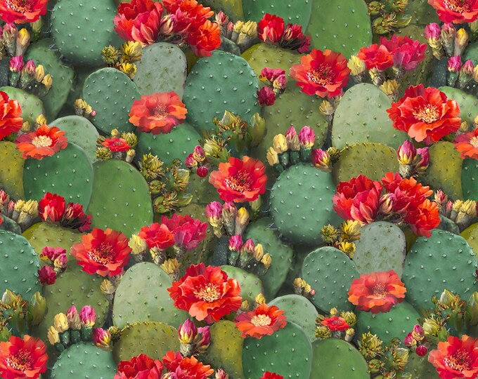 FINAL YARDAGE Prickly Pear Cactus Fabric by Timeless Treasures - Etsy