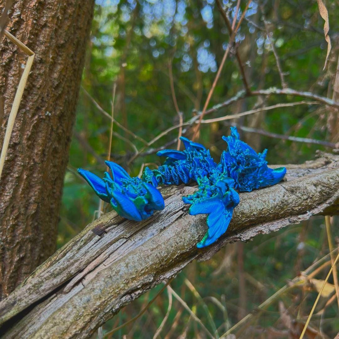 Coral Cinderwing | 3D Printed | Articulated - Etsy
