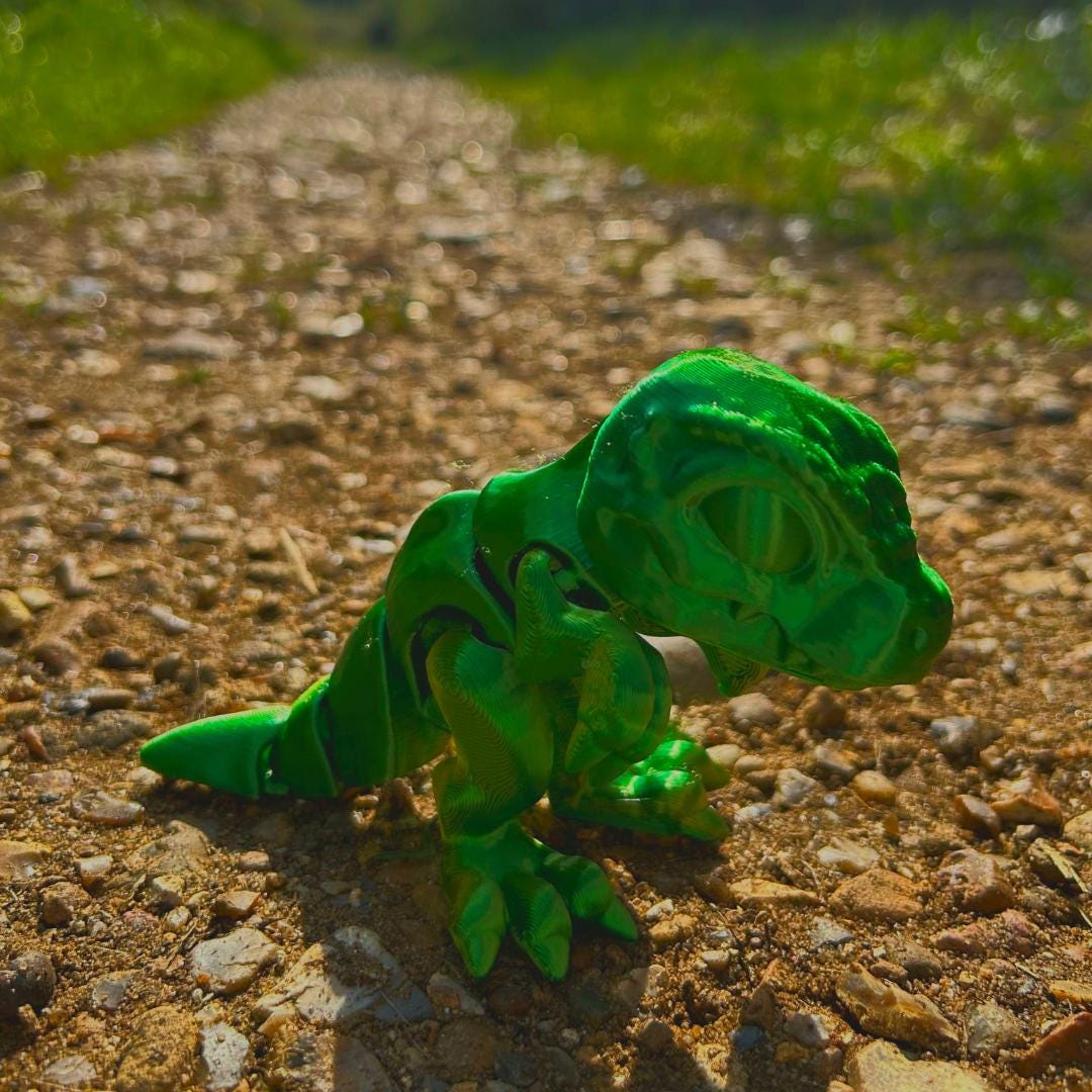 T-rex Cinderwing | 3D Printed | Articulated - Etsy