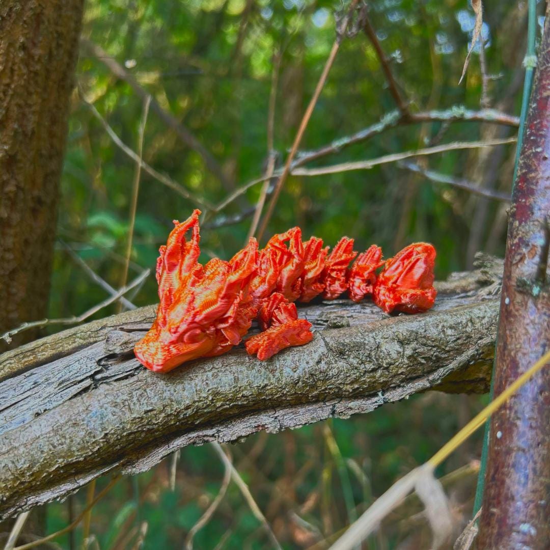 Woodland Cinderwing | 3D Printed | Articulated - Etsy UK