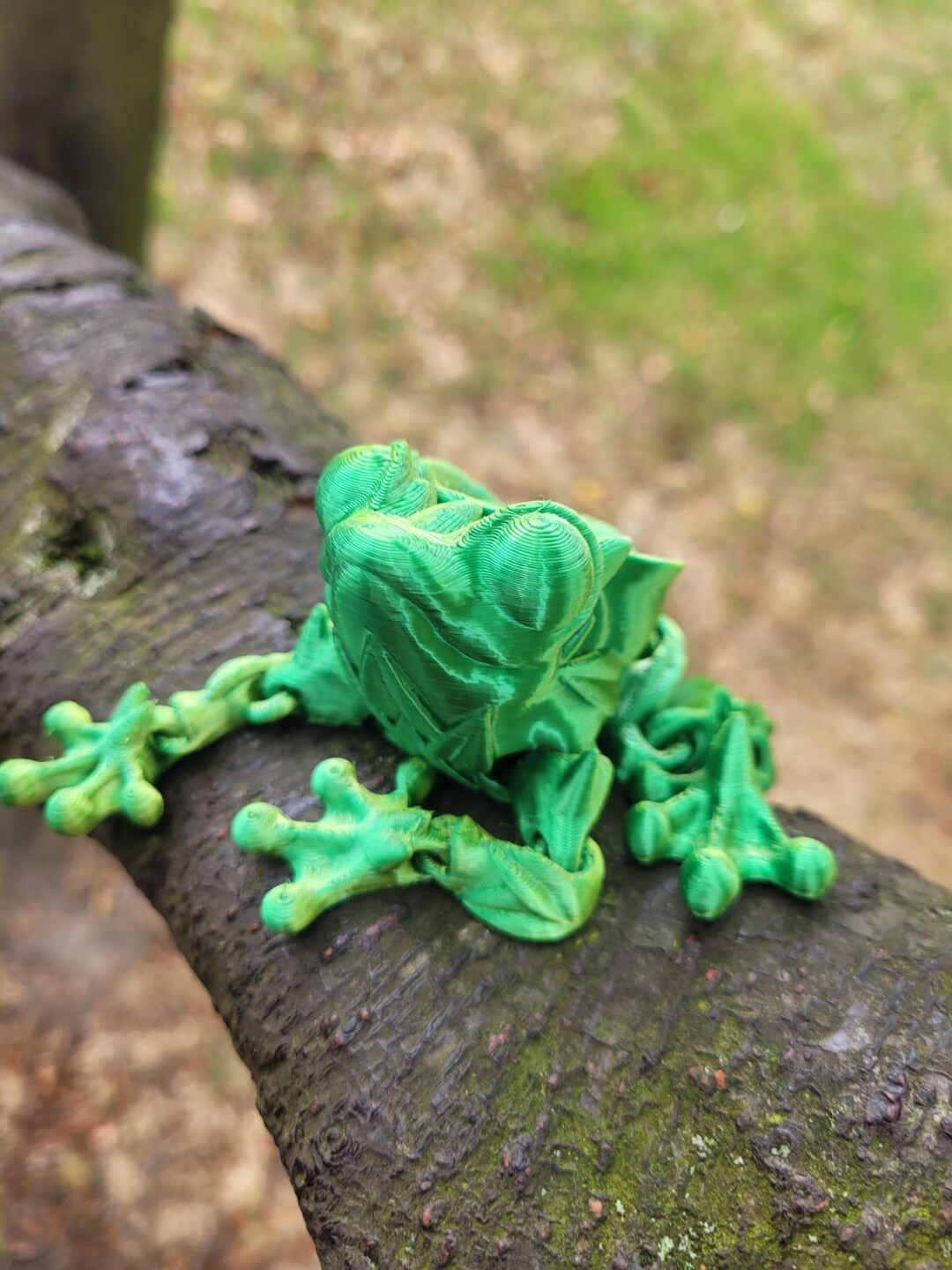 Frog Cinderwing | 3D Printed | Articulated - Etsy