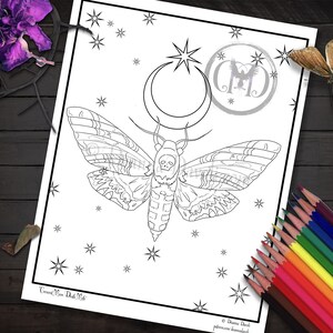 Death Moth Coloring Page / Moon Phase Printable / Digital Download ...