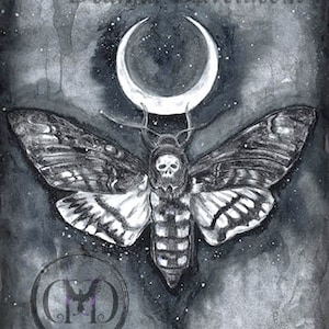 Death Moth Coloring Page / Moon Phase Printable / Digital Download ...
