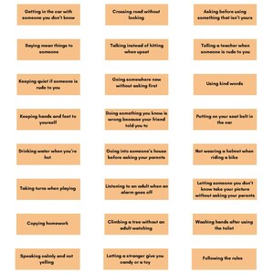 Safe Vs. Unsafe Online Behaviour Sorting Activity - Etsy