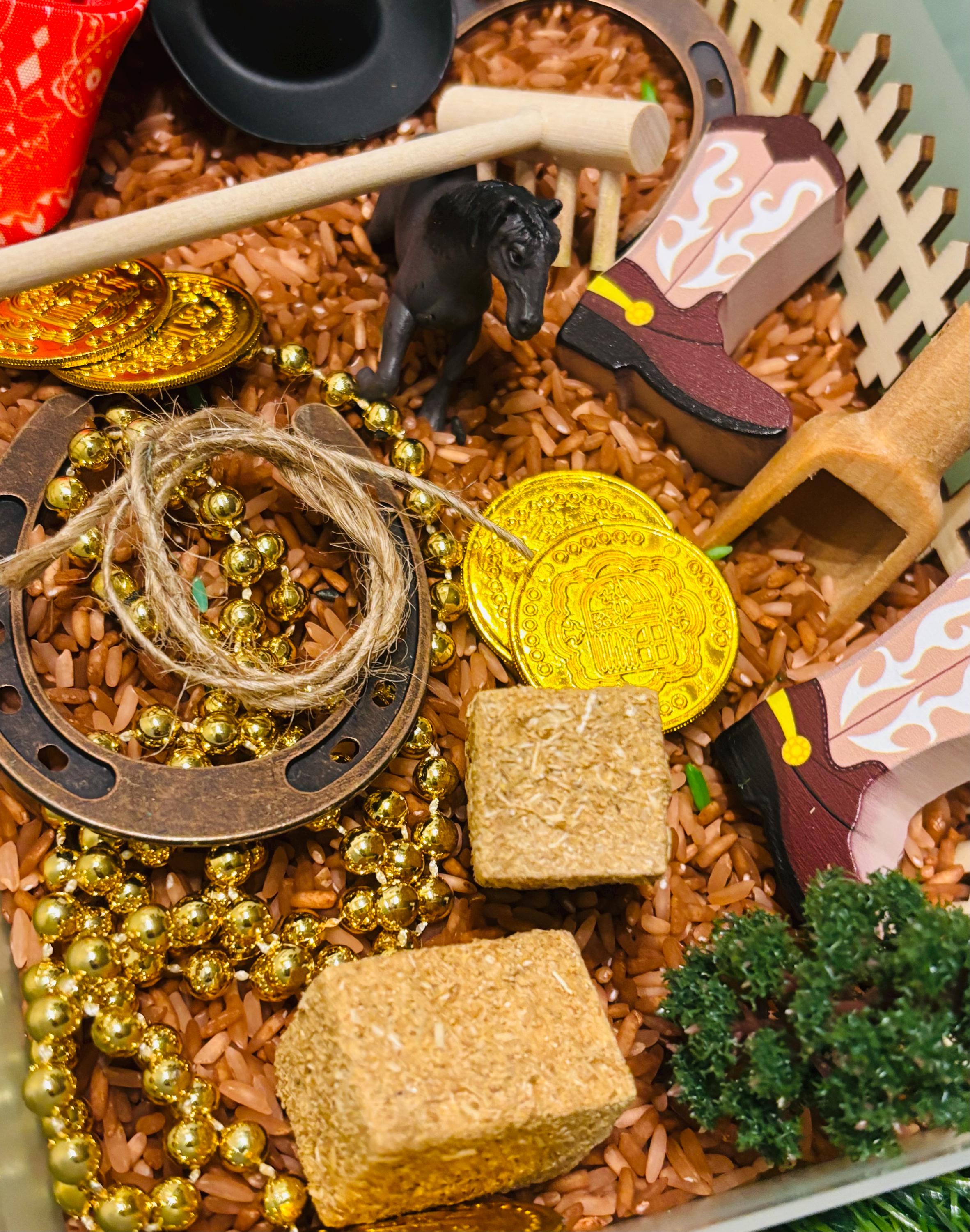 Western Cowboy Sensory Play Kit: Fine Motor Skills, Pretend Play - Etsy