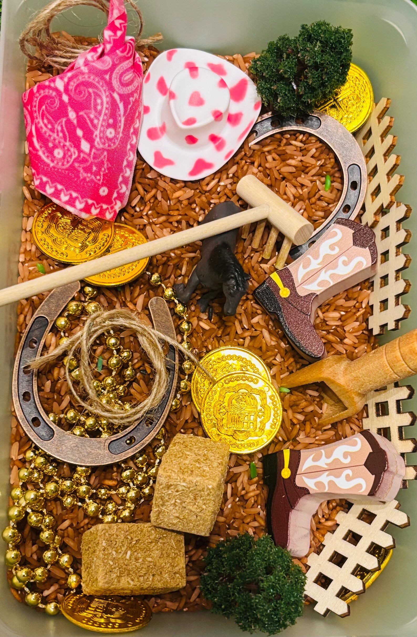 Western Cowboy Sensory Play Kit: Fine Motor Skills, Pretend Play - Etsy