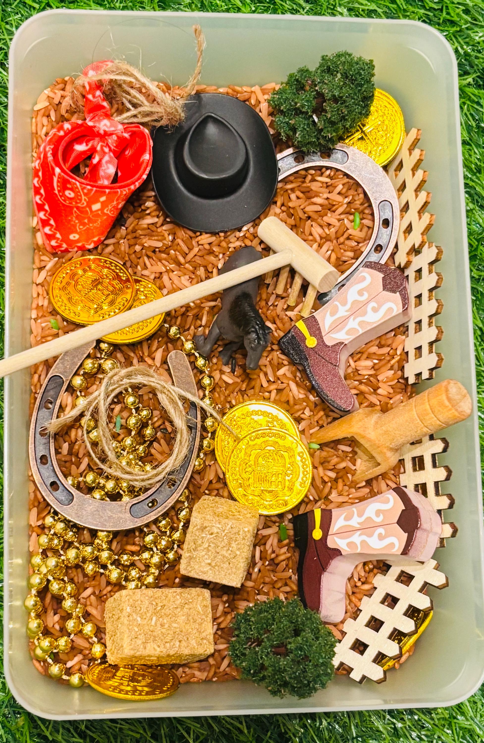 Western Cowboy Sensory Play Kit: Fine Motor Skills, Pretend Play - Etsy