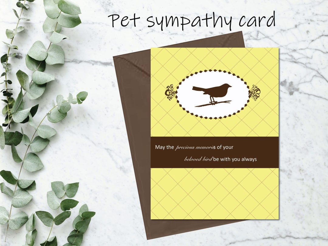Bird Sympathy Card Loss of Bird Condolences for Loss of Bird ...