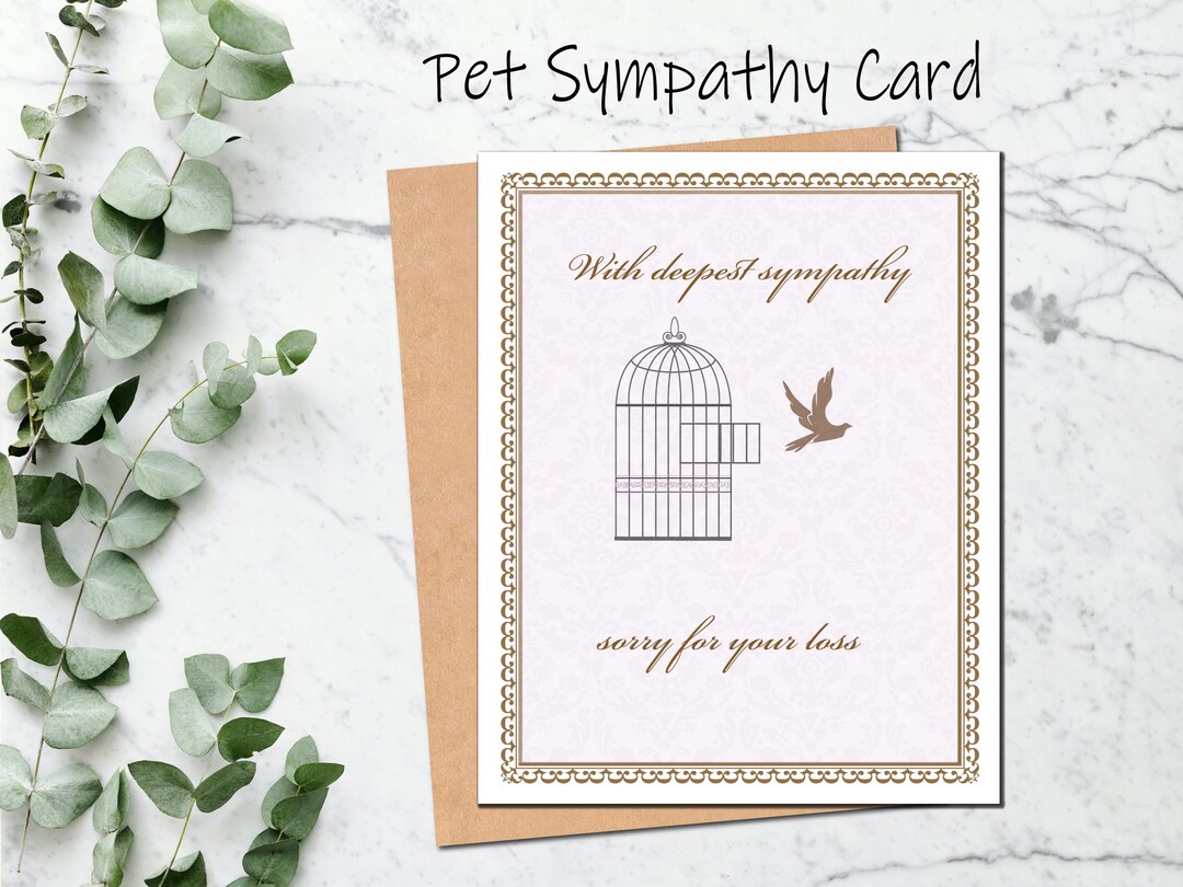 Bird Sympathy Card Loss of Bird Condolences for Loss of Bird ...
