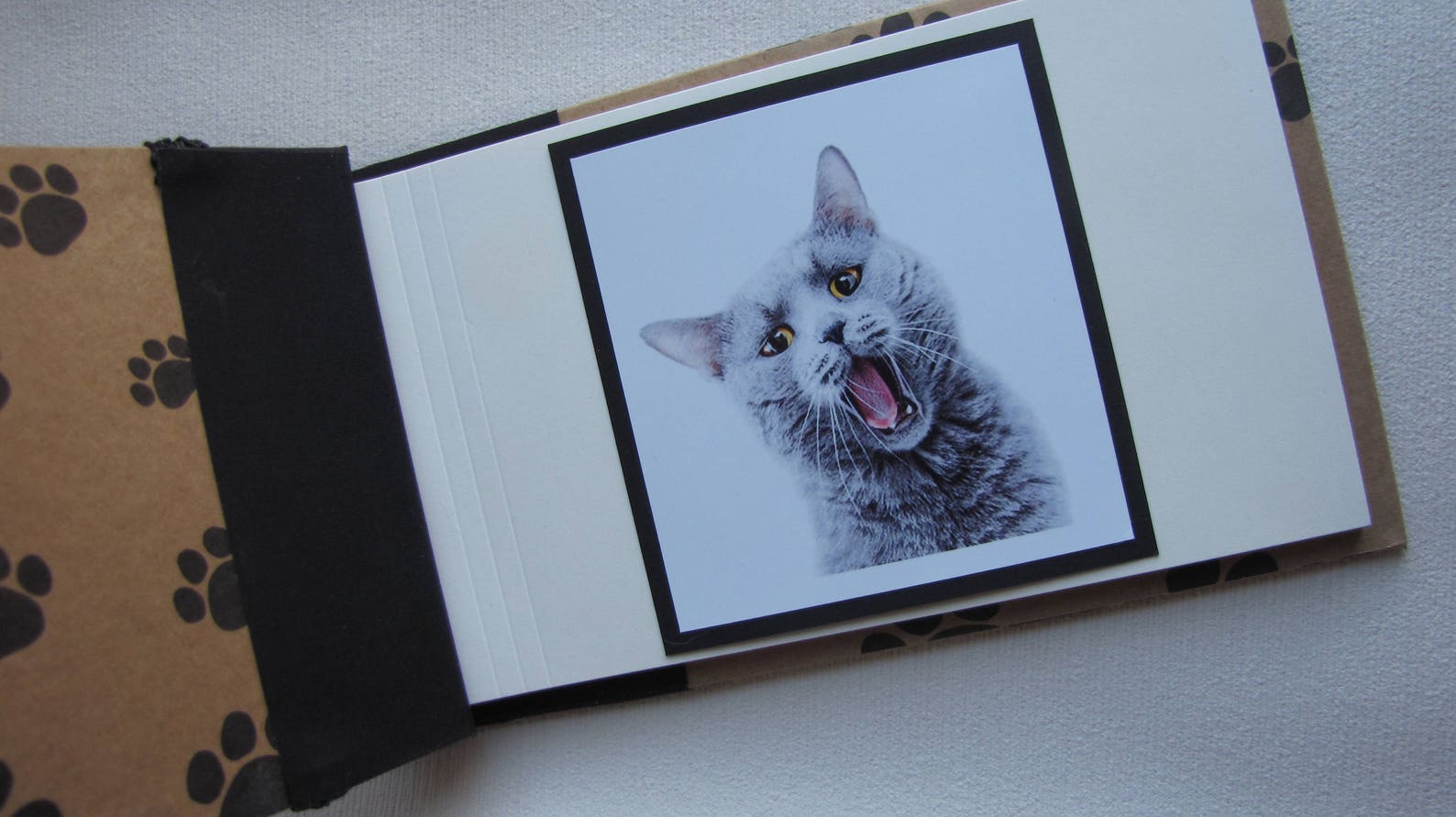Cat Book Personalized Pet Photo Album Cat Gift New Kitten - Etsy