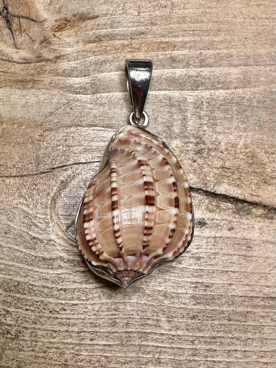 Vintage Large Sea Shell Charles Albert 925 Silver Pendant - Etsy