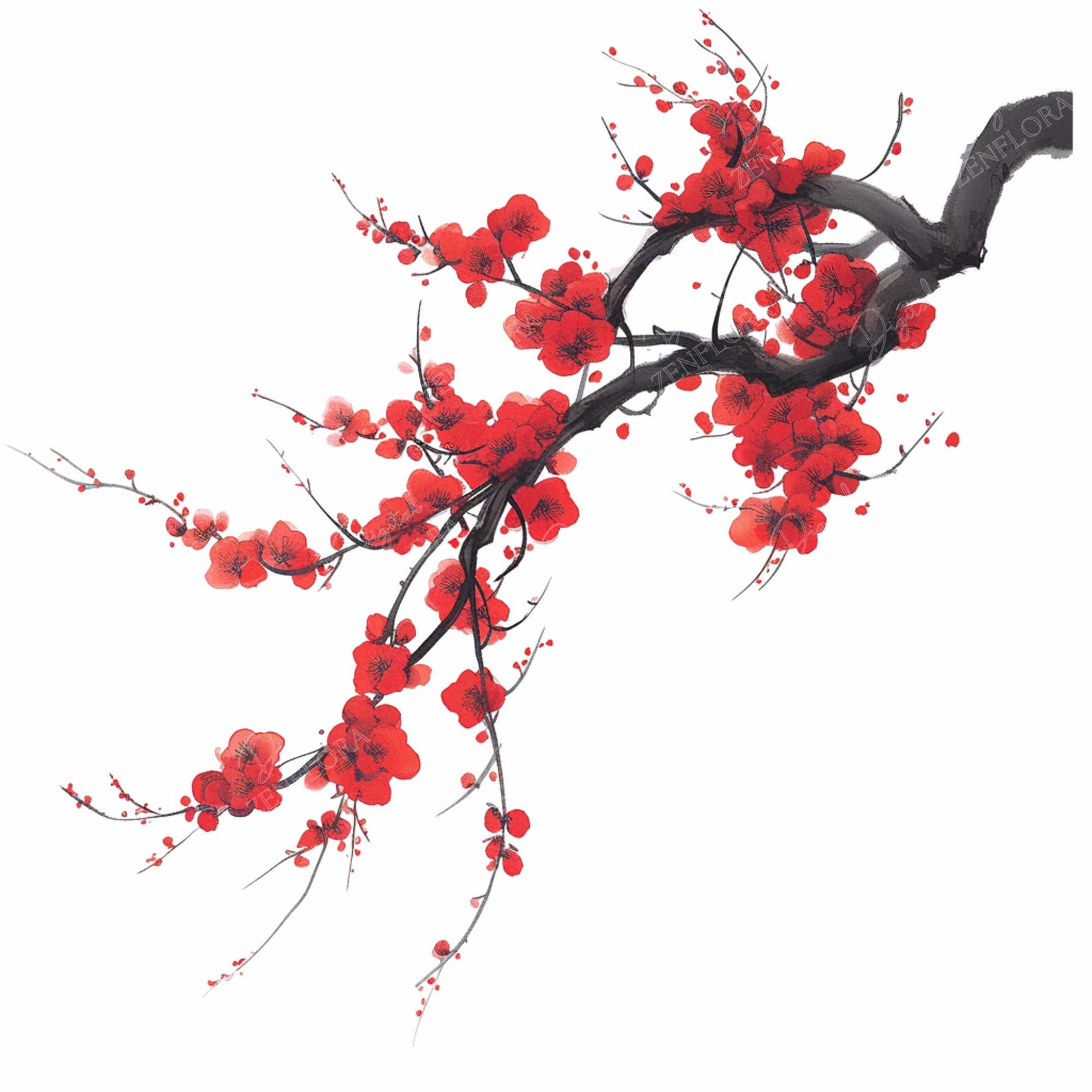 Red Sakura Clipart,sakura Branch,cherry Blossom,watercolor,300 DPI,PNG ...