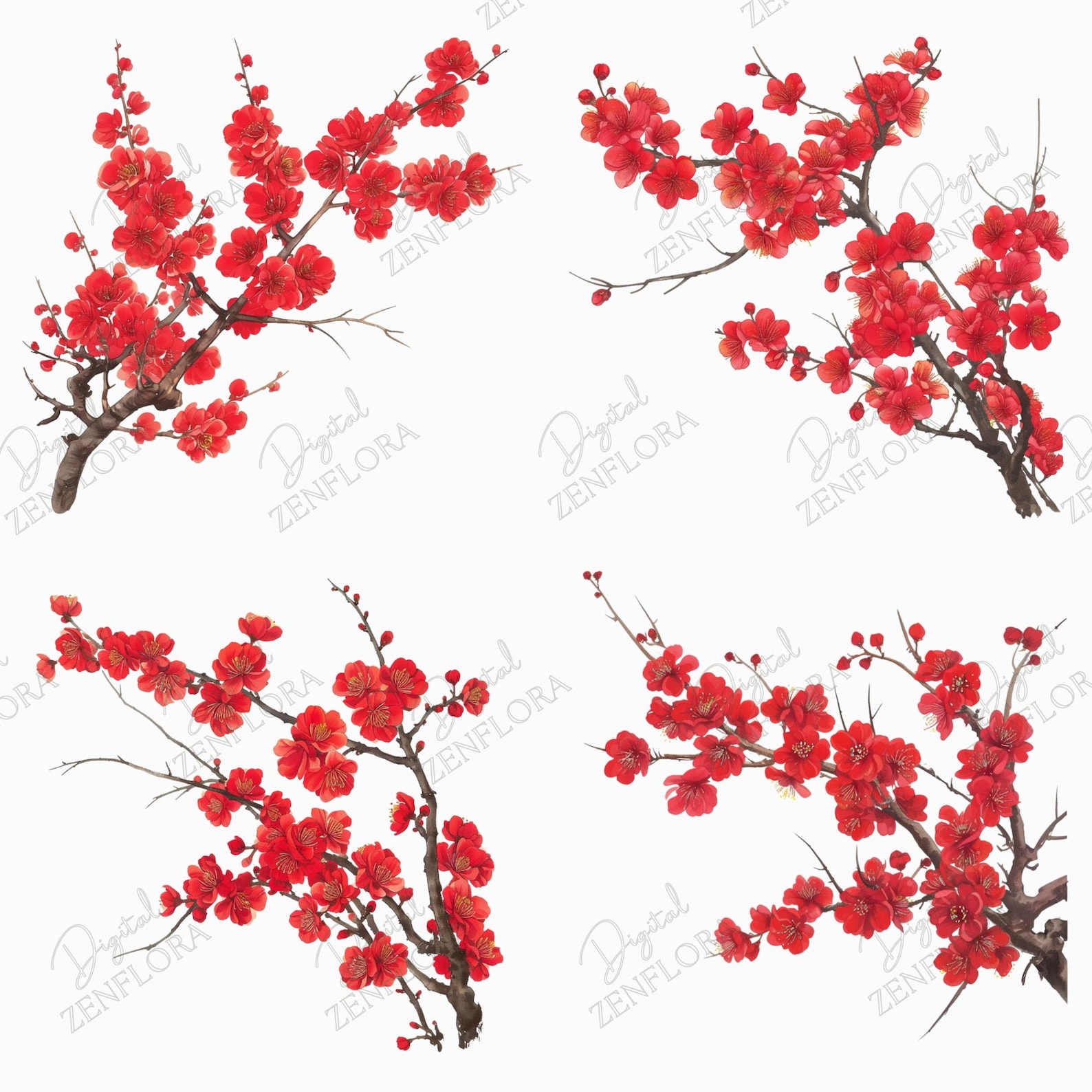 Red Sakura Clipart,sakura Branch,cherry Blossom,watercolor,300 DPI,PNG ...