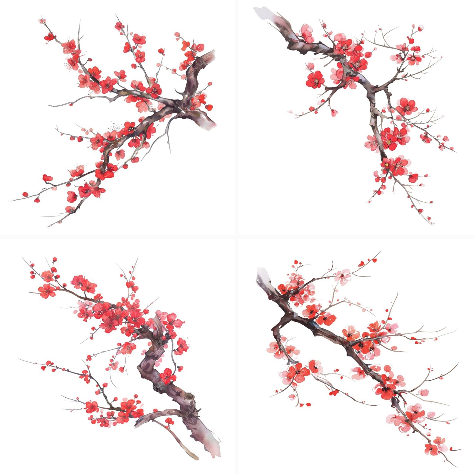 Red Sakura Watercolor Clipart: Cherry Blossom Branch (digital Download ...