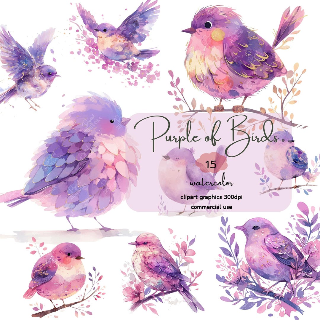 15 Watercolor Birds Clipart,purple Birds,transparentpngs,digital ...