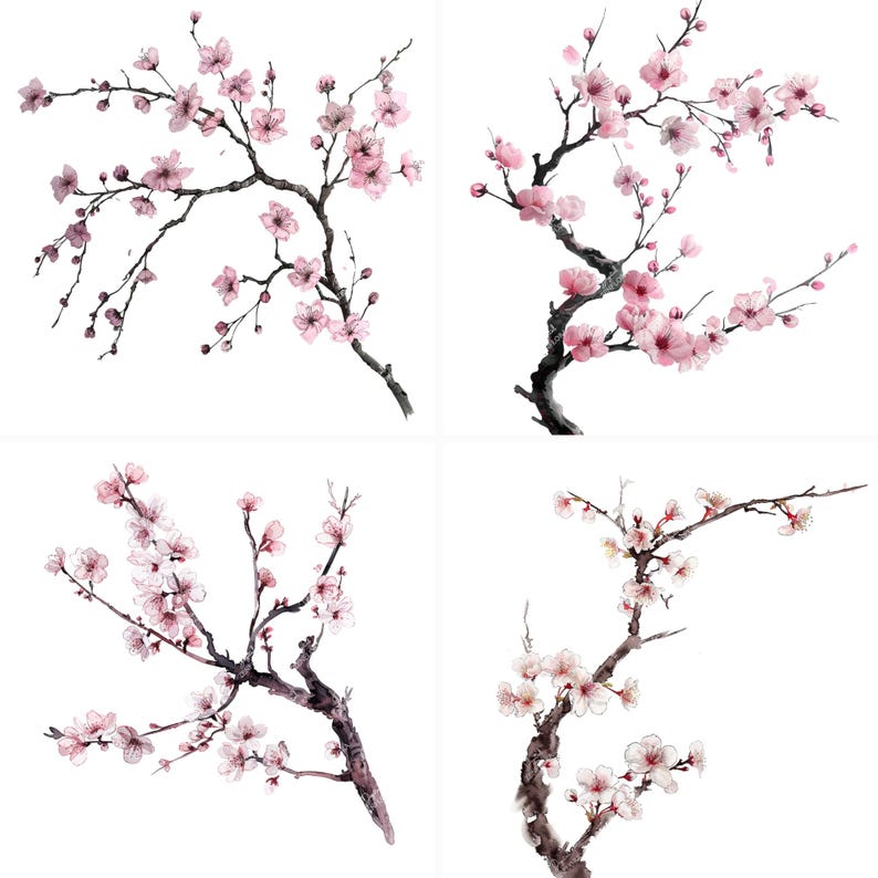 2026 New Collection Sakura Clipart: Watercolor Cherry Blossom Branch ...