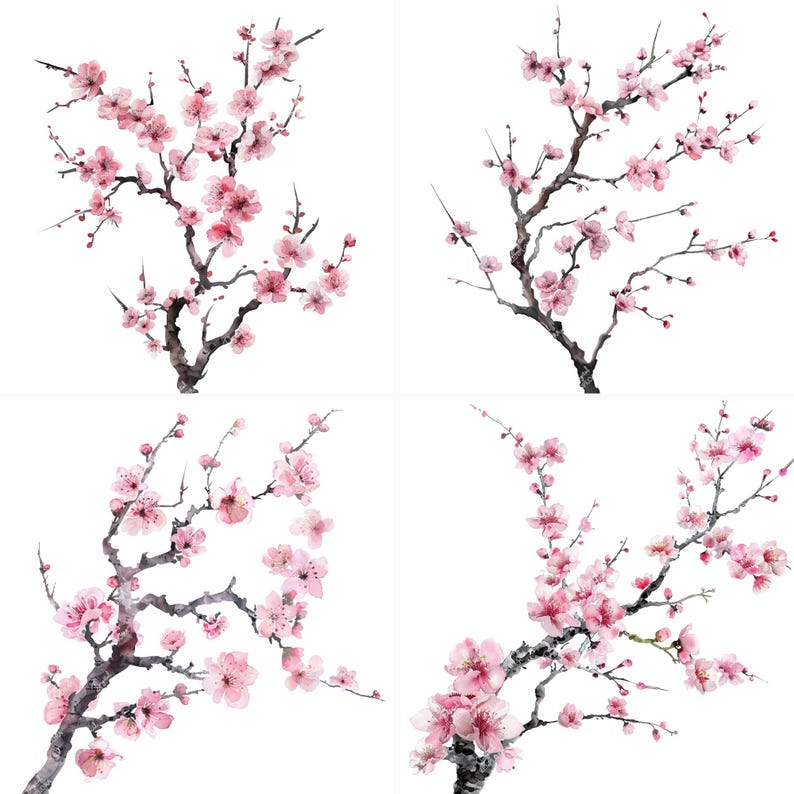 2026 New Collection Sakura Clipart: Watercolor Cherry Blossom Branch ...