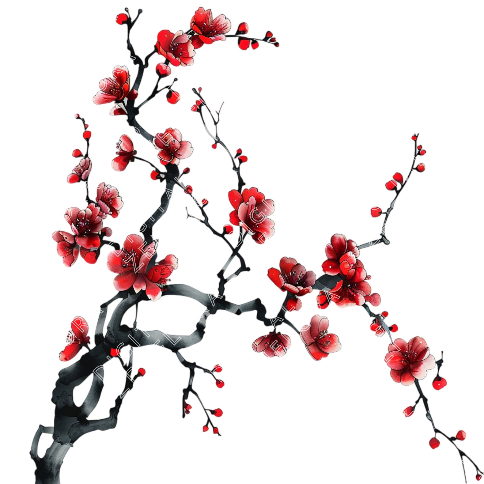 Red Sakura Watercolor Clipart: Cherry Blossom Branch (digital Download ...