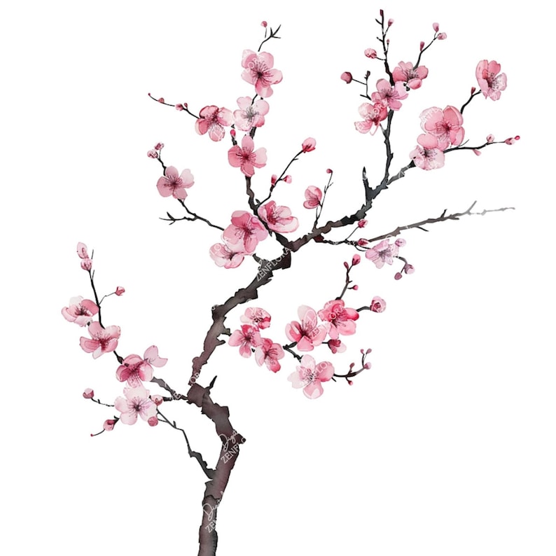 2026 New Collection Sakura Clipart: Watercolor Cherry Blossom Branch ...