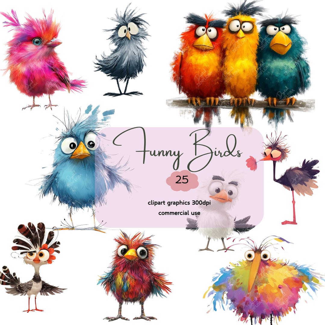 25 Funny Birds Clip Art,cheeky Birds, 300 DPI, PNG, Digital Download ...