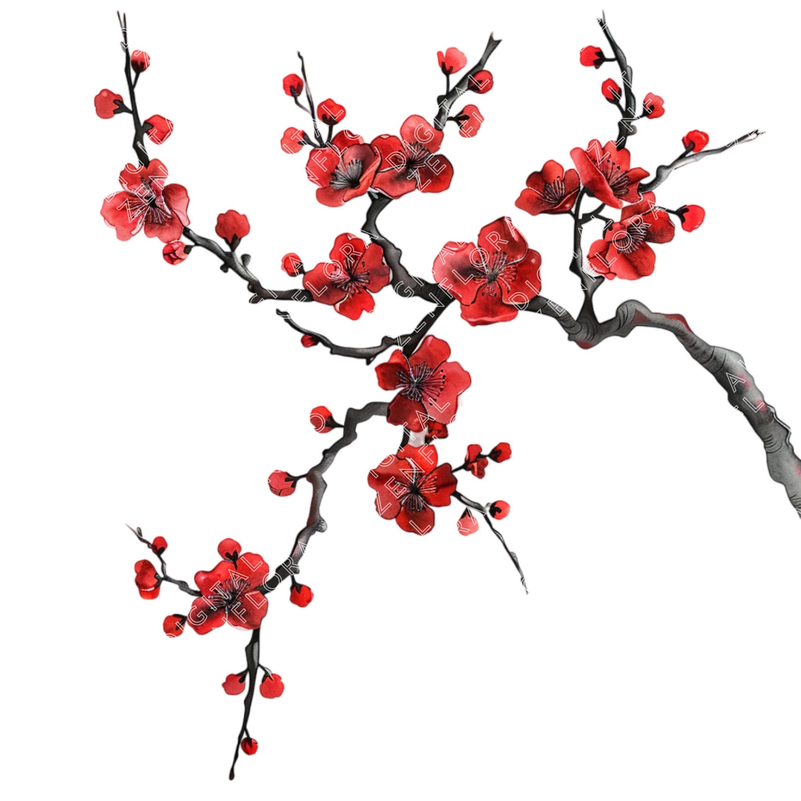 12 Red Sakura Clipart,sakura Branch,cherry Blossom,watercolor,digital ...