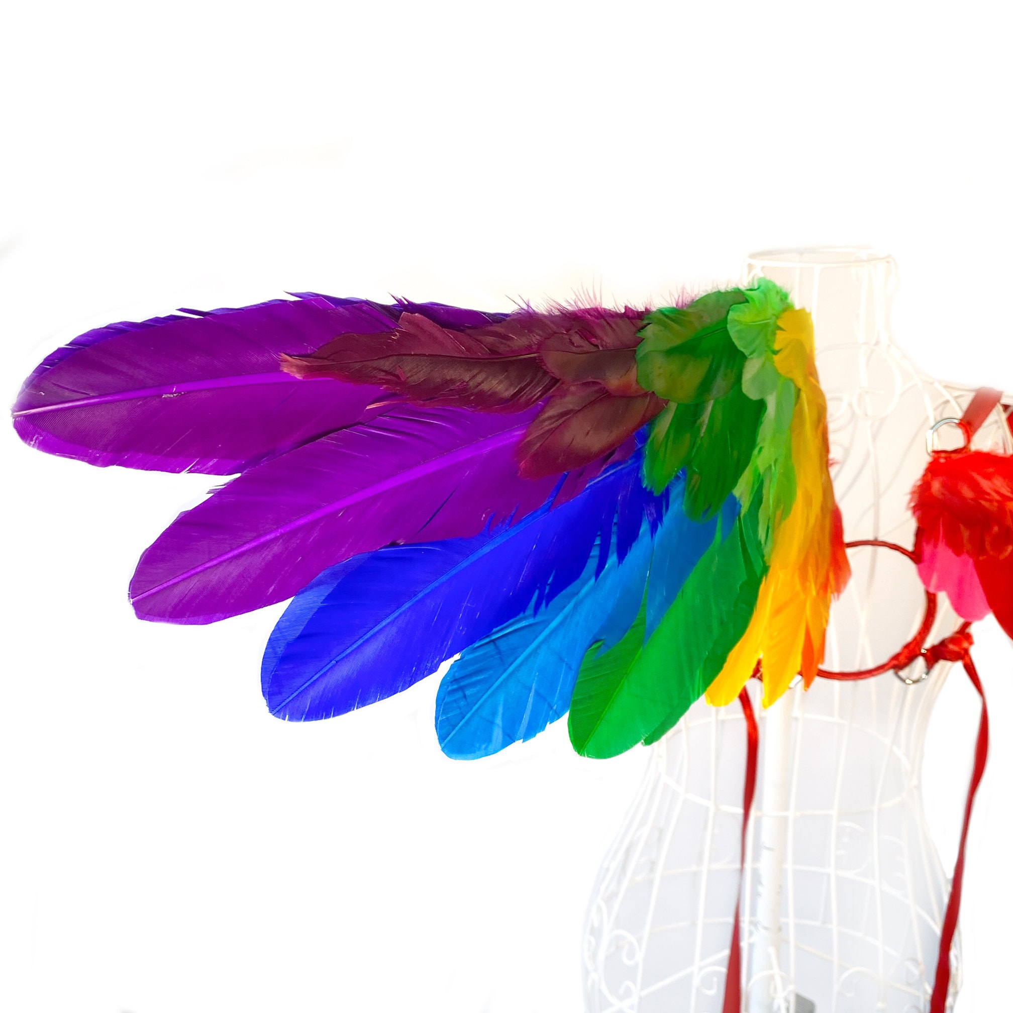 Rainbow Feather Angel Wings Medium Size Cosplay Photography | Etsy