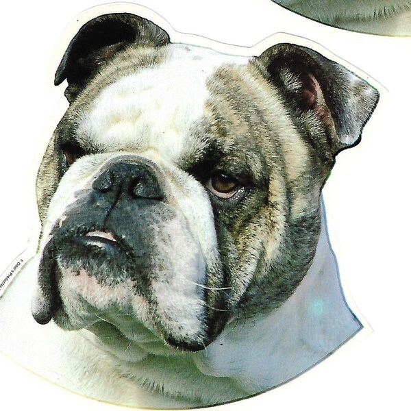 Fasson Sticker - Etsy