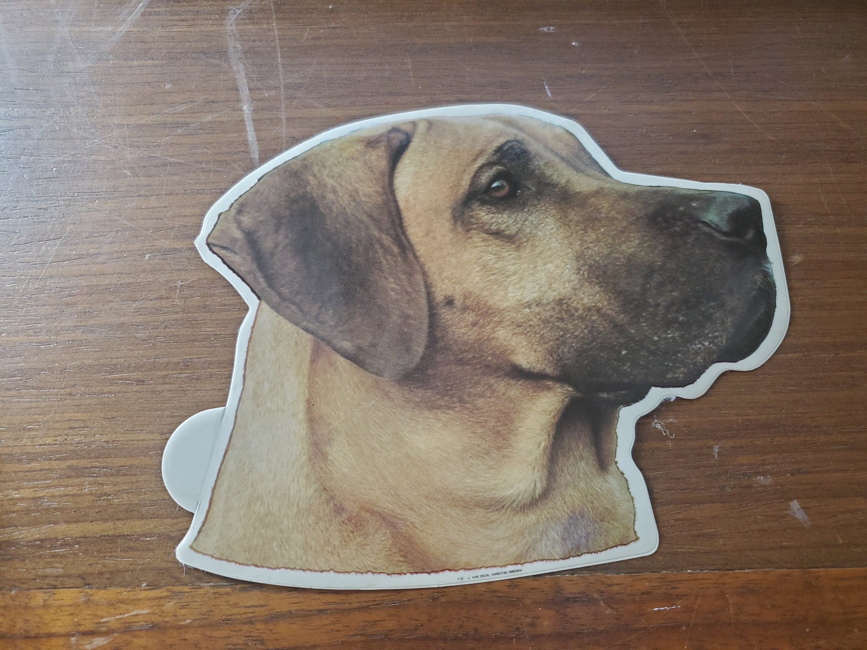 Vintage Rodesian Ridgeback Dog Decal Single Sticker Fascal Fasson - Etsy