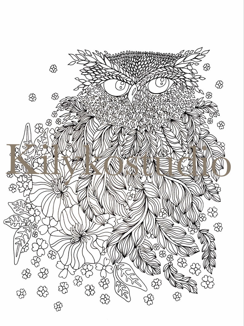 Feathery Owl & Flowers Adult Coloring Page Instant Digital Download Pdf ...